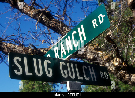 Ranch Road sign in Texas USA Stock Photo - Alamy