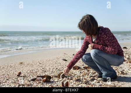 A woman collecting seashells on the beach Stock Photo - Alamy