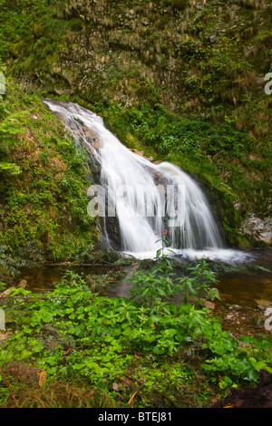Black-Forest Waterfall germany Stock Photo - Alamy