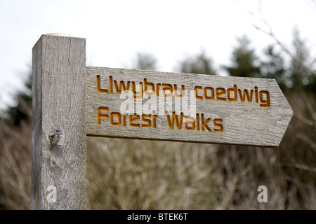 Wooden sign for Forest Walks Llwybrau coedwig Wales UK Stock Photo - Alamy