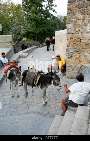 Donkeys Outside The Acropolis Lindos Rhodes Greek Islands Greece Hellas ...
