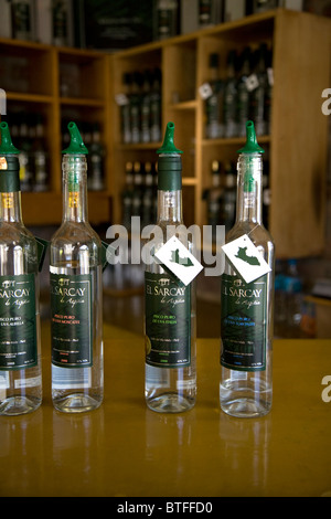 The El Sarcay de Azpitia vineyards and Pisco distillery south of Lima ...