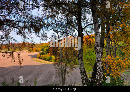 Woodlands at Sundon Country Park near Luton, Bedfordshire Stock Photo ...
