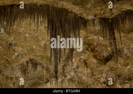 Speleothems in Carlsbad Caverns National Park in southern New Mexico ...