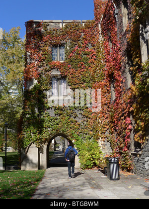 Toronto in Fall Stock Photo - Alamy