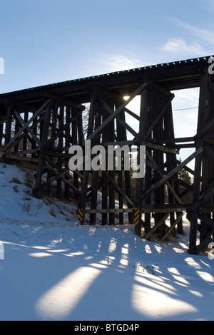Wooden beams of a railway bridge or train trestle in the lush forest of ...