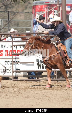 a cowboy competes in the tie-down roping event at a rodeo Stock Photo ...