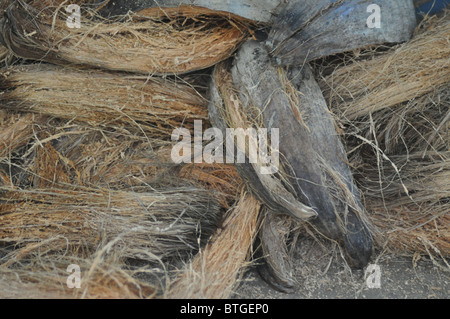 coconut husk coir and coir ropes Stock Photo - Alamy