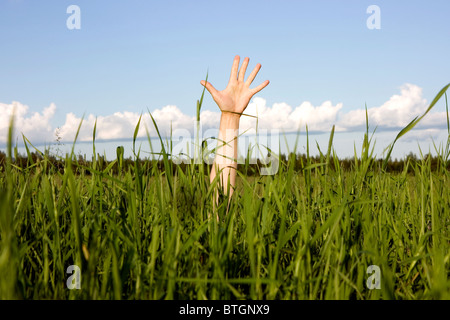 Hand sticking out of a green grass Stock Photo - Alamy