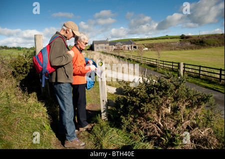 A couple of ramblers walk on a sunny day in springtime along a woodland ...