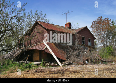 A neglected house completely overgrown with weeds Stock Photo - Alamy