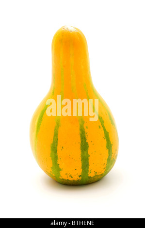 Cushaw squash on a white background Stock Photo - Alamy