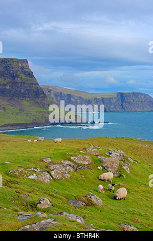 Waterstein Head on the island of Skye, Scotland Stock Photo - Alamy