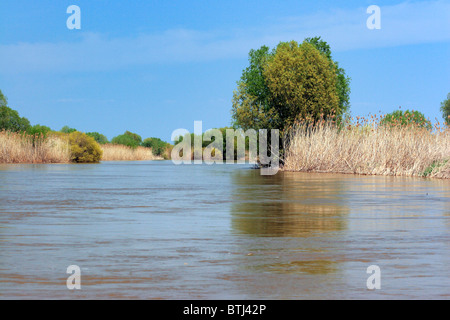 Volga river Delta, Astrakhan region, Russia Stock Photo - Alamy