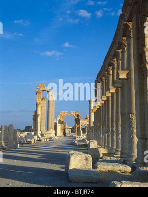 Roman ruins in the Colonnade street. Petra, Jordan Stock Photo - Alamy