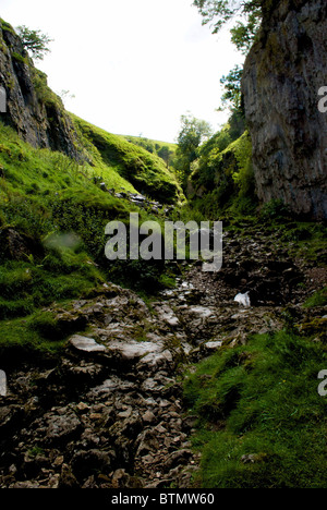 Troller's Gill is ravine at the head of Trollerdale near Skyreholme and ...