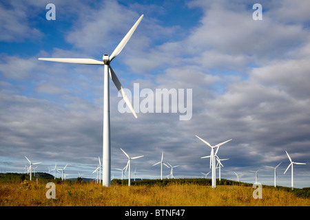 Eole, Cap-Chat, wind turbines, Gaspesie, Quebec, Canada Stock Photo - Alamy