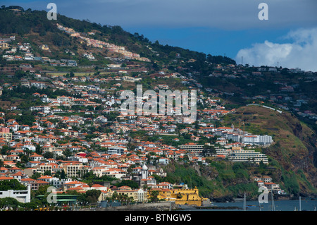 Panoramic view of Funchal city town and harbour with copy space Funchal ...