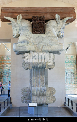 Bull Capital from Persepolis in Louvre, Paris, France Stock Photo - Alamy