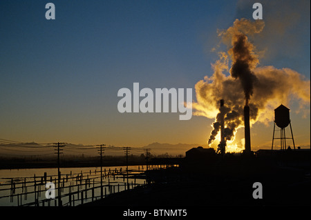 Sunrise over slough with silhouetted pilings and lumber on waterway ...