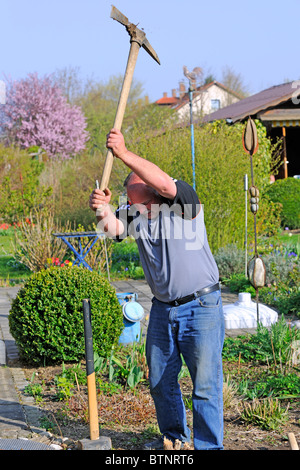 Portrait of mature lumberjack with axe on white background Stock Photo ...