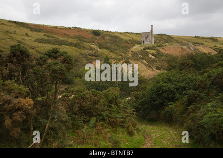 The ruins of Wheal Betsy Engine House in Devon Stock Photo - Alamy