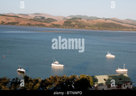 Mangonui, Harbour,East Coast,North Island,New Zealand Stock Photo - Alamy