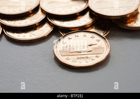 A loonie, as a Canadian one dollar coin is commonly called Stock Photo ...