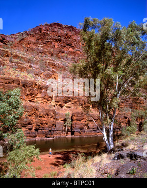 Wittenoom Gorge, Hamersley Range, Pilbara region, Western Australia ...