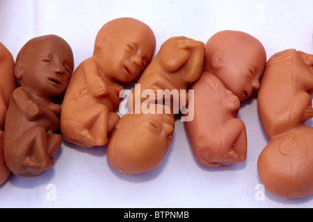 Rubber foetuses, at 12 weeks development, during a pro-life vigil ...