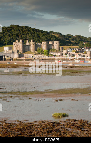 Conwy Castle,Snowdonia,North Wales Stock Photo - Alamy