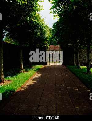 Heywood Gardens, Co Laois, Ireland, Pleached Lime Alley, Edwin Lutyens ...