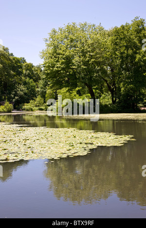 Prospect Park in Brooklyn Stock Photo - Alamy