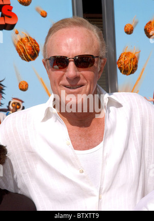 CLOUDY WITH A CHANCE OF MEATBALLS, James Caan as the voice of Tim ...