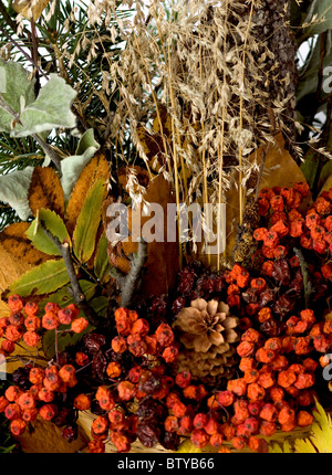 Dry Leaves as Autumn herbal Fall concept texture Stock Photo - Alamy