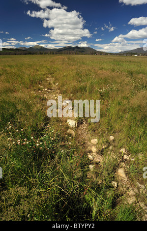 Dry creek bed, Fraser river basin, Fraser, Colorado Stock Photo ...