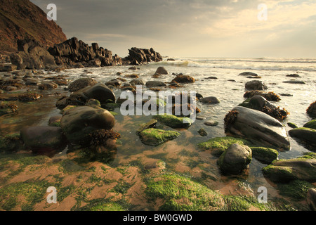 Atlantic coastline of North Cornwall at Duckpool Stock Photo - Alamy