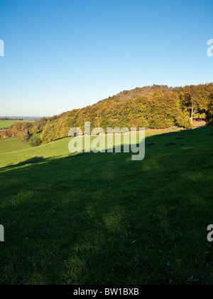 Landscape of Watership Down above Kingsclere Hampshire UK. The setting ...