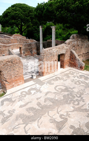 Mosaic detail, Gymnasium, Baths of Neptune, Ostia Antica Stock Photo ...