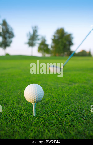 Closeup shot of a natural landscape with trees and rocks on a hill ...