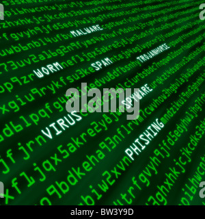 Methods of cyber attack in code including virus, worm, trojan horse ...