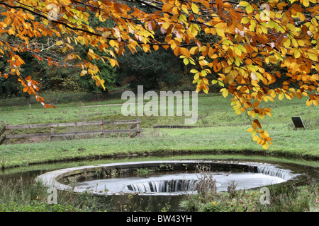 The cup and saucer in Autumn at Erddig Park Near Wrexham Stock Photo ...