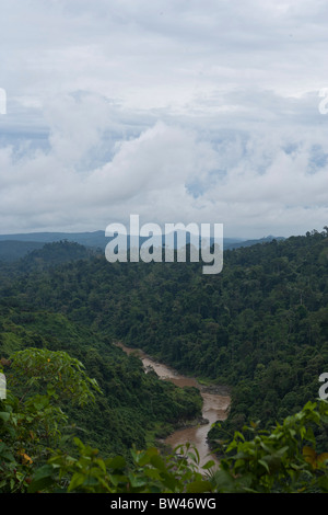 Lowland dipterocarp rainforest and river in Danum Valley Conservation ...
