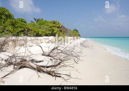 Beach erosion in The Maldives Stock Photo - Alamy