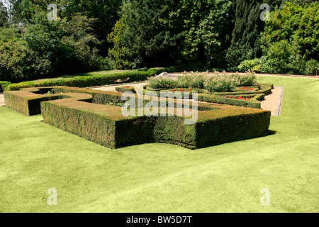 The Box Privet hedges and topiary designs in the Orangery at Warwick ...