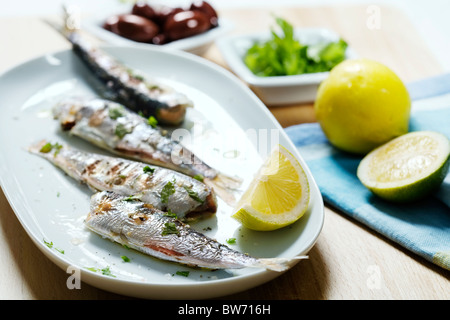 Plate of 3 grilled sardines Stock Photo - Alamy