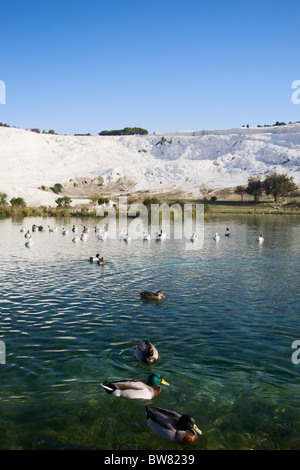 Lake and calcified limestone terraces on background, Pamukkale, Turkey ...