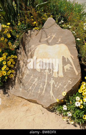 African Rock Art a rock engraving from the Northern Cape, South Africa ...