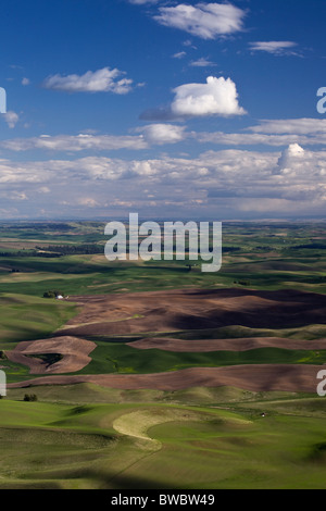 Spring in the Palouse, from Steptoe Butte, Washington State, United ...