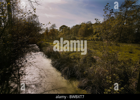 Askham bog nature reserve managed by the Yorkshire Wildlife Trust a ...